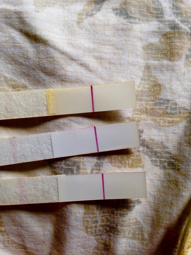 do all frer have indent lines? - Glow Community