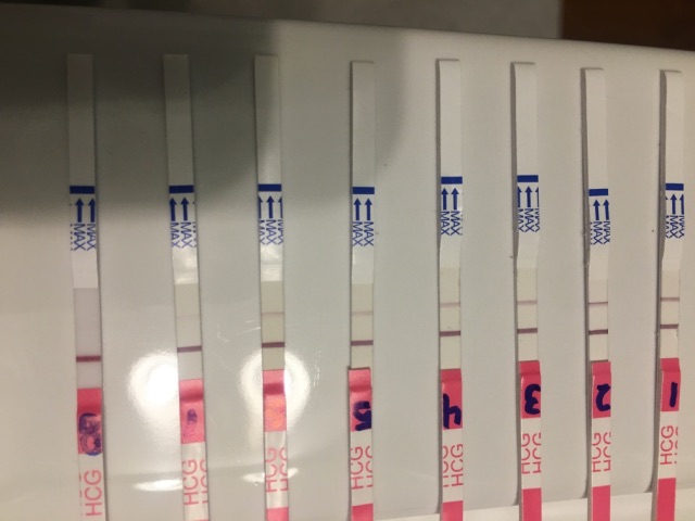 Two week wait: Testing out trigger shot progression picture - Glow ...