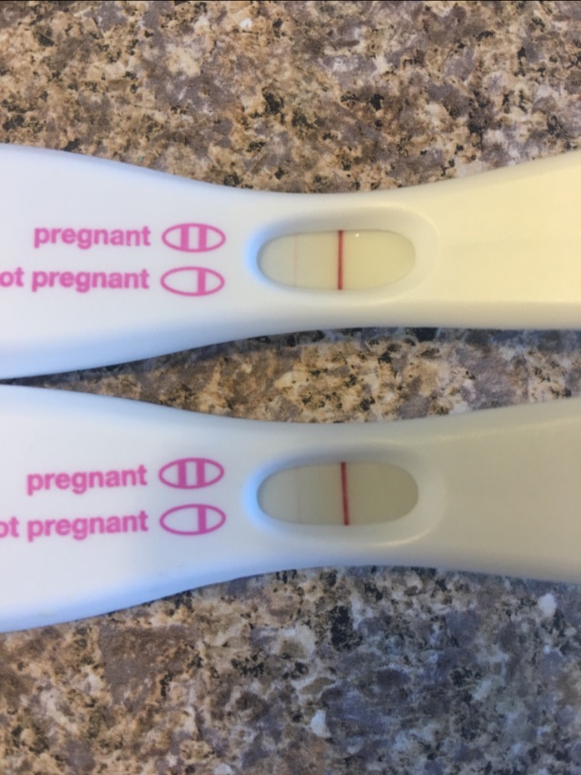 Help!!! positive or Evap lines?? - Glow Community