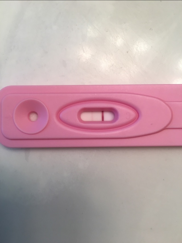 Dollar Tree Pregnancy Test Evaporation Line