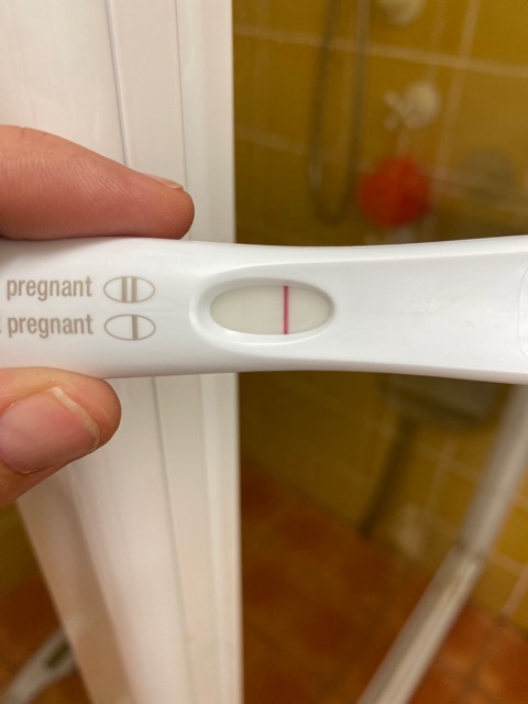 Help! Two faint positives on frer in afternoon. Negative the next ...