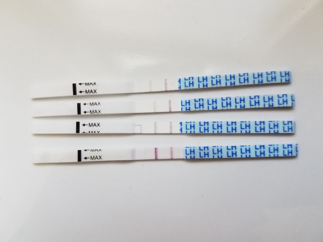 Positive OPK strip, now what? - Glow Community