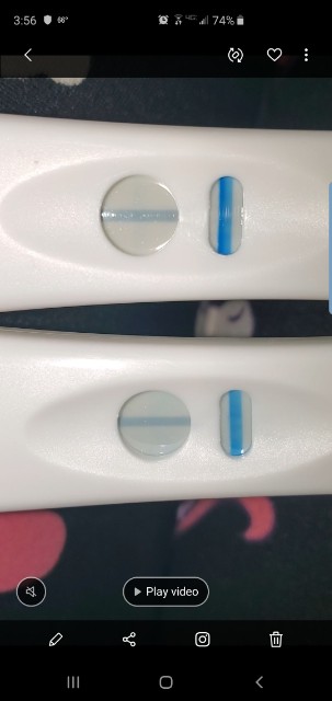 After a few faint positives on blue dye test Igot A Pink Faint Line on ...