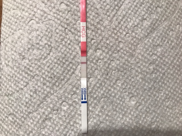 slight positive or evap line? I read it like ten-15 min after taking ...