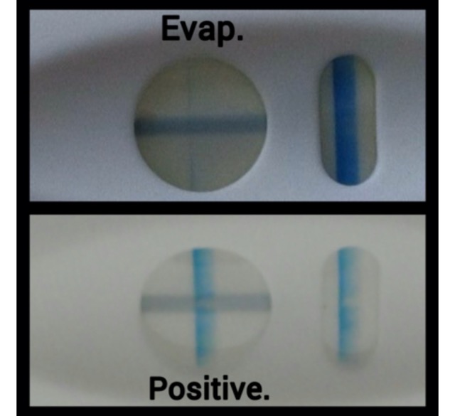 Evap line? - Glow Community