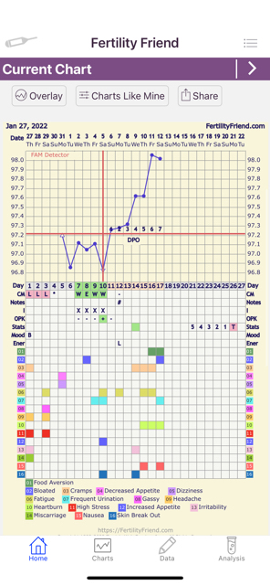 Would you say my chart has a triphasic pattern? - Glow Community