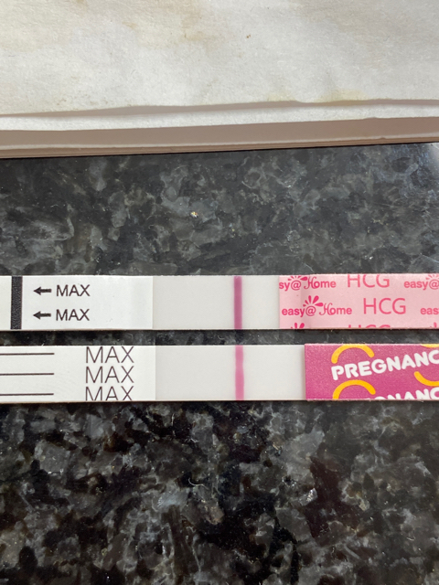 Light bleeding at 5 dpo? And white…discharge? From left nipple - Glow ...