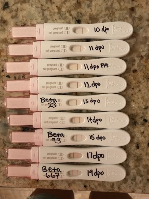 FRER progression and betas! - Glow Community