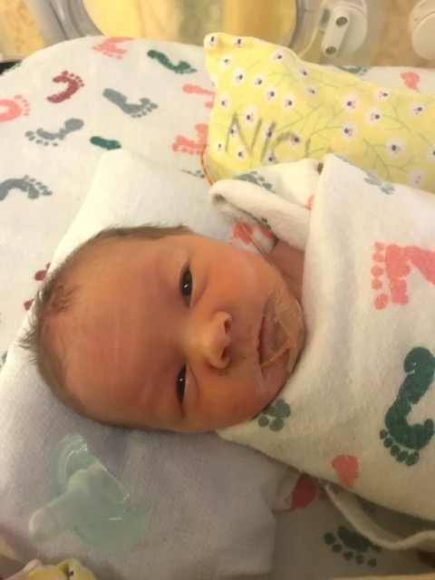 After 80 Days of Battling Rare and Deadly TRAP Pregnancy My Little ...