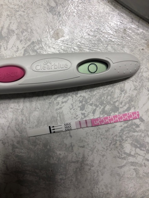 digital ovulation test negative, but strip is positive? - Glow Community