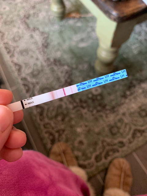 Never seen such a positive OPK! 5 weeks pregnant 😬 - Glow Community