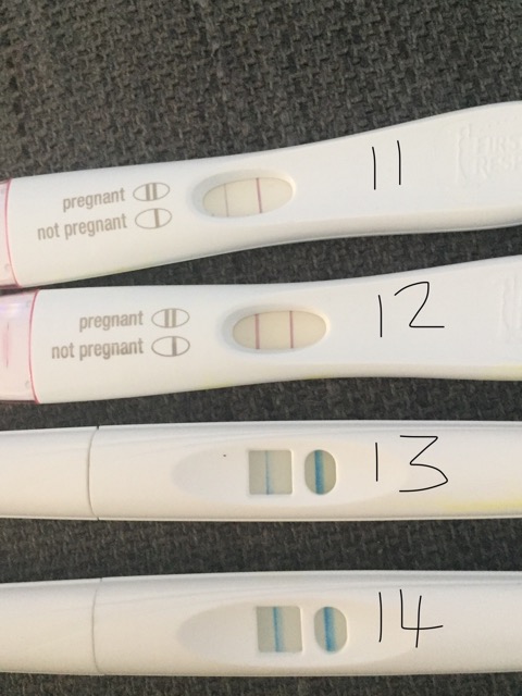 BFP Chart - Glow Community