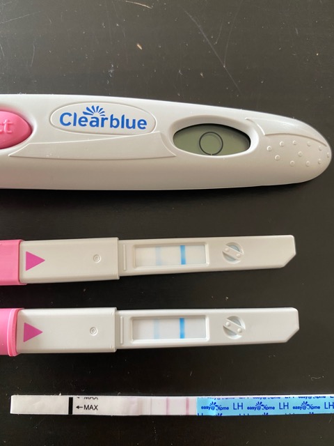 Positive easy@home LH test and negative Clearblue digital? - Glow Community