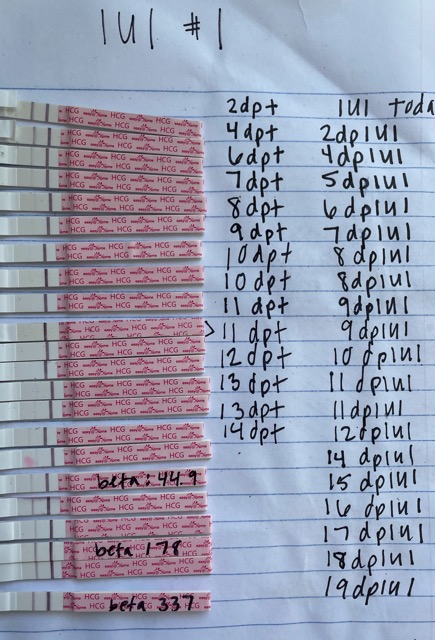 First IUI bfp and line progression pics - Glow Community