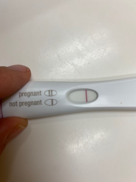 Help! Two faint positives on frer in afternoon. Negative the next ...