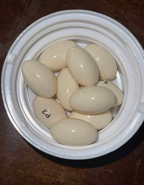 Progesterone bleeding 6wks pregnant update - Glow Community