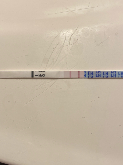 Why Are My Ovulation Test Look Like This Glow Community 8779