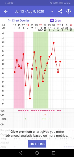 Bbt charts bfp and bfn! - Glow Community