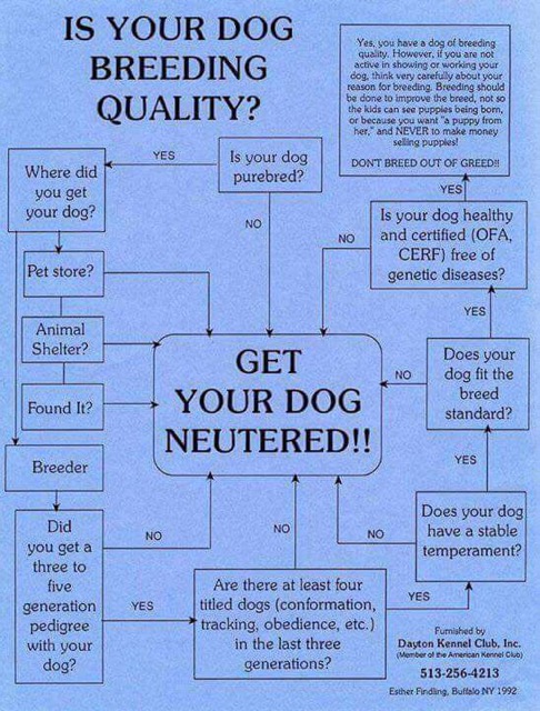 Backyard Breeding.... - Glow Community