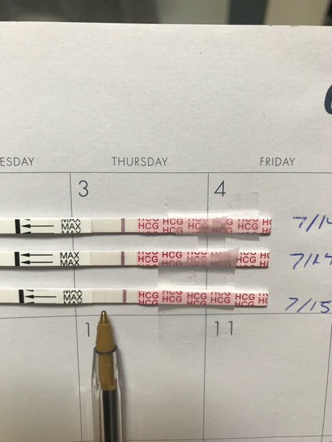 Anyone see a faint line? Hoping for a BFP soon! Help! - Glow Community