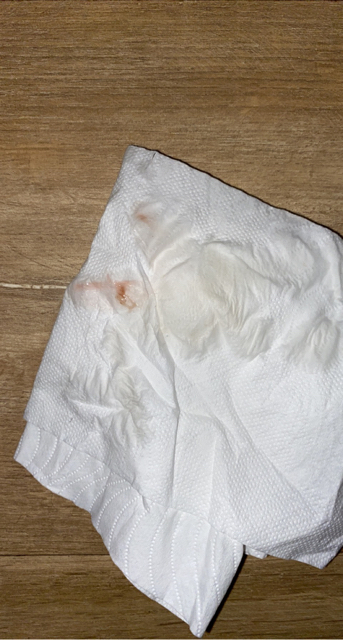 Implantation Bleeding Pad