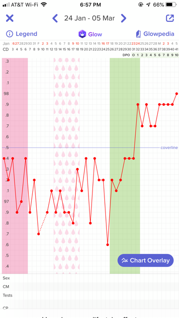 Slow Rise BBT Chart HELP!! - Glow Community
