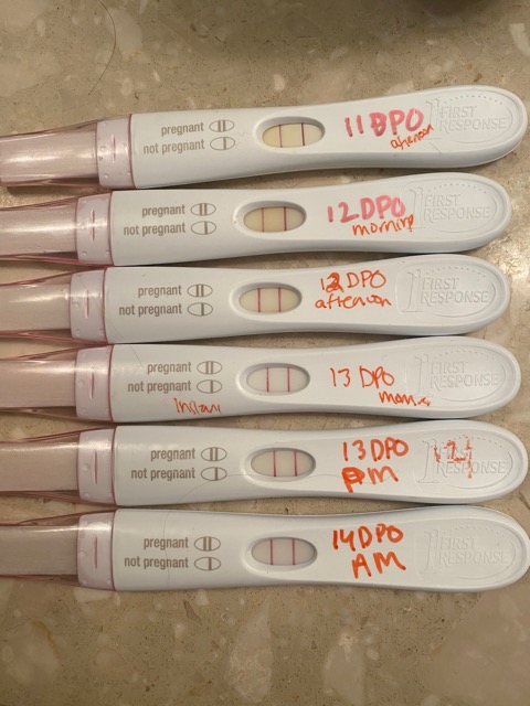 BFP - line progression! - Glow Community