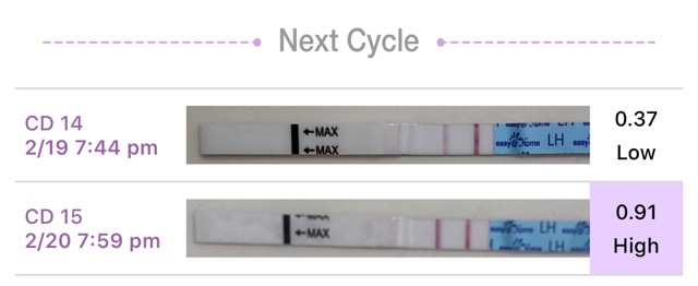 Is this OPK positive? Or almost? - Glow Community