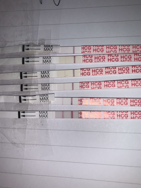 Line progression in AccuMed HCG test strips! - Glow Community