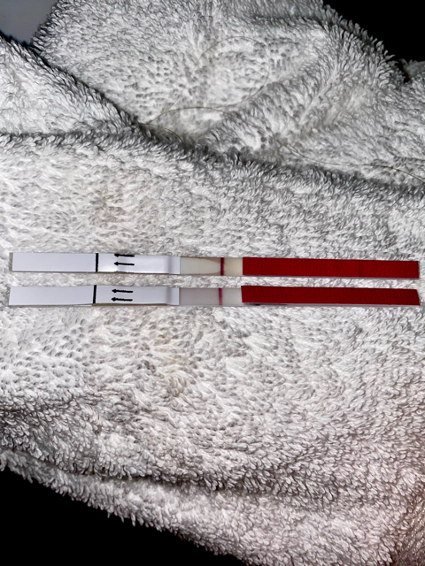 First response indent 🥴 - Glow Community