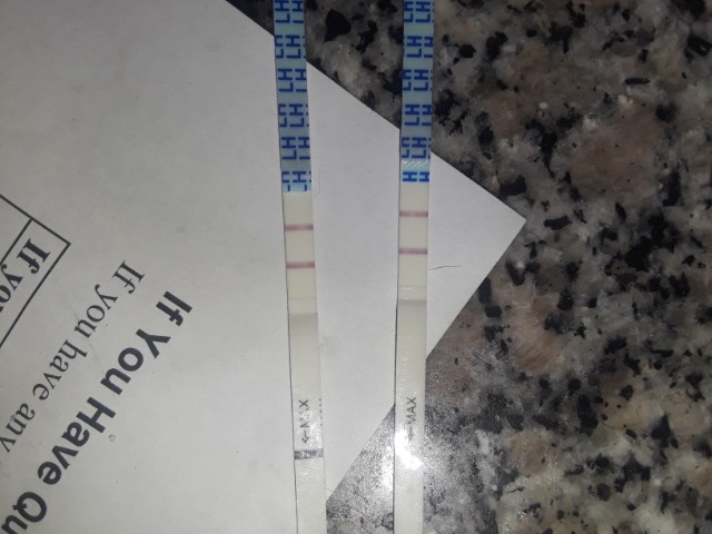 For any newbies to OPK testing, this is what my positive OPK looks like ...