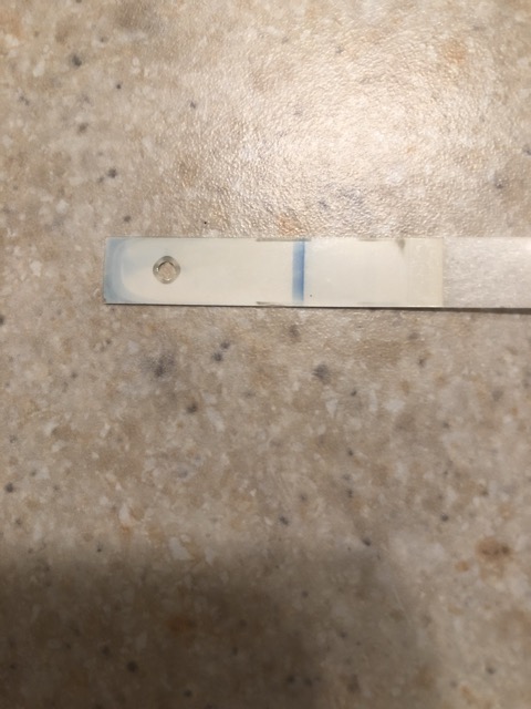 Positive or evap line? Two test, inverted, grayscale, and original ...