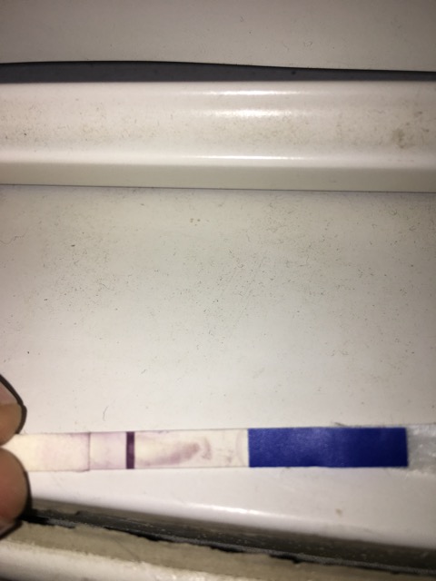 Dye run happened right when I took the test, checked next morning and a ...