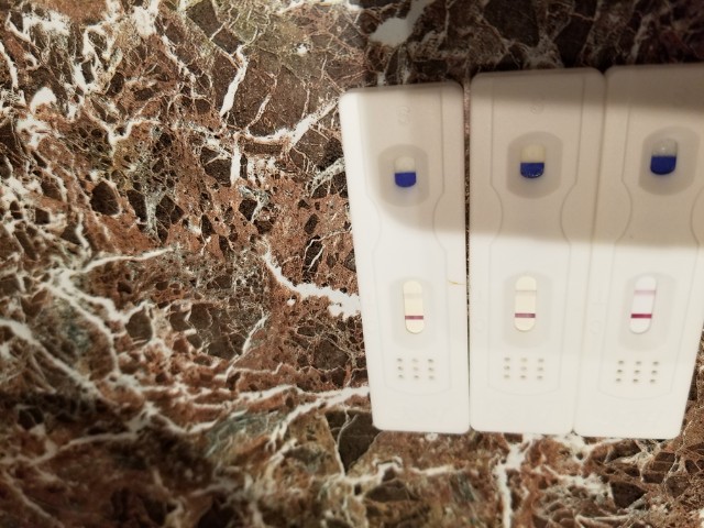 Hcg progression shown on pregnancy tests? - Glow Community