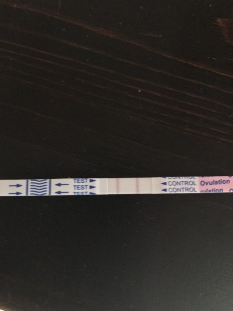 Positive opk...finally?? - Glow Community