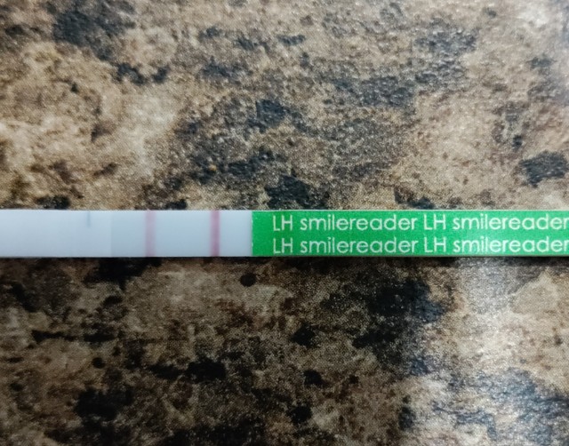 How to read ovulation tests - Glow Community