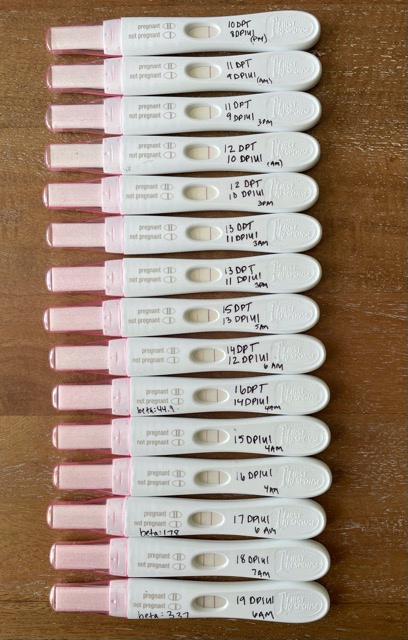 First IUI bfp and line progression pics - Glow Community