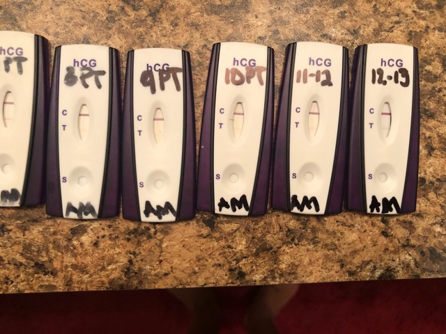 12-13 dpt Progression line first round Femera & Trigger shit Ovidrel ...