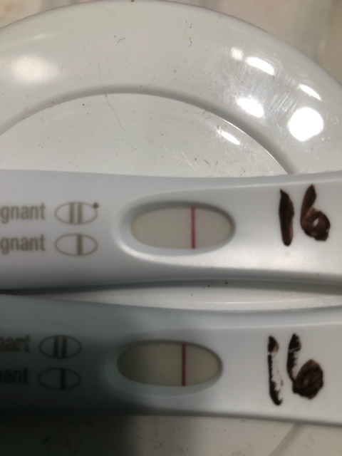 So test from 8dpo to 14 got frist line at 14dpo and now 16 dpo and I ...
