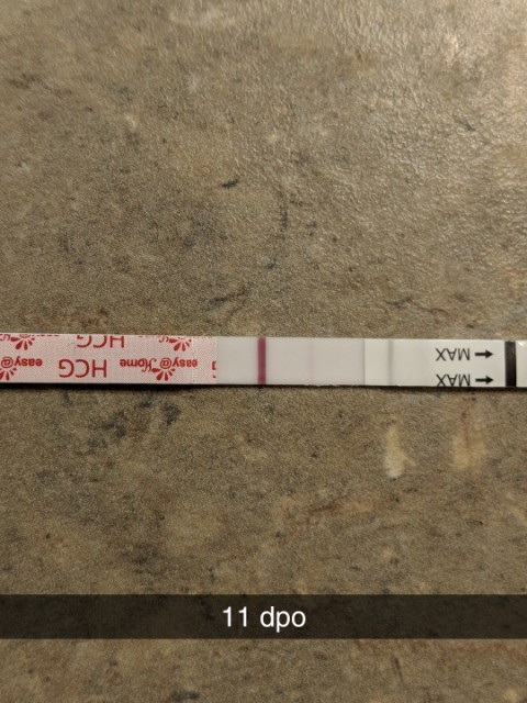 How do I tell the difference between a positive and evap line...i ...