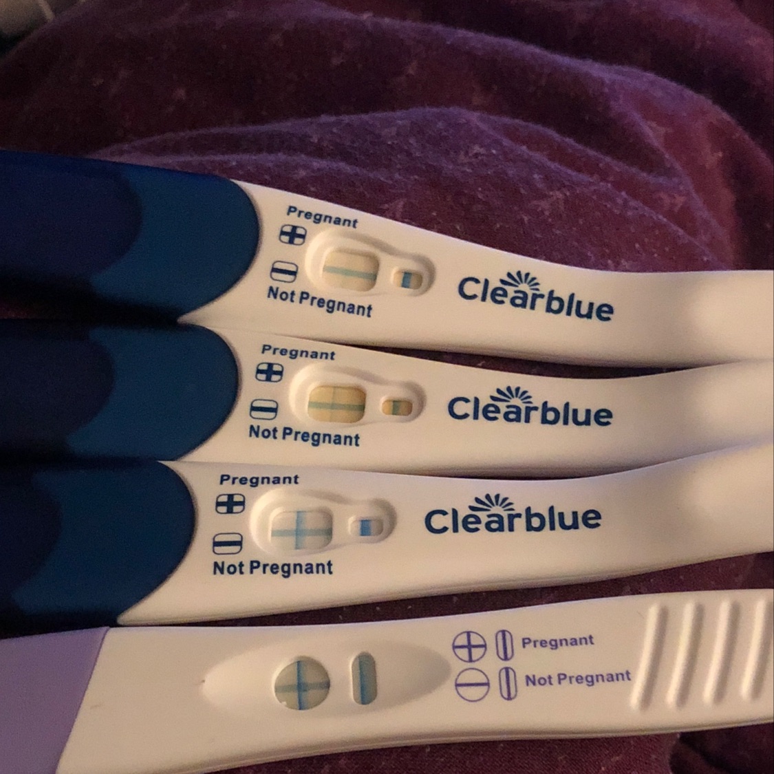 BFP progression since first faint positive, leading up to the perfect ...