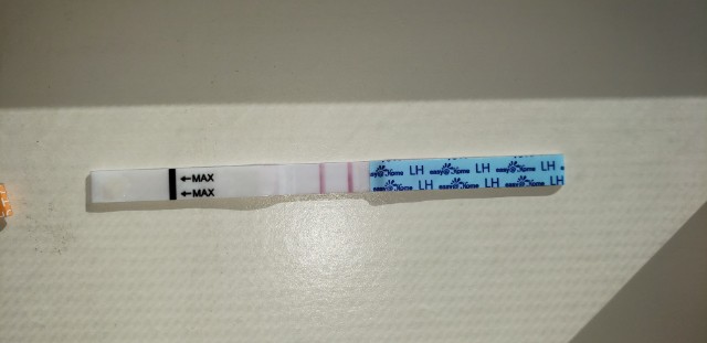 This is an OPK and 19DPO...I've taken pregnancy test and they are ...