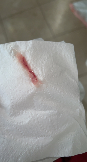 Can someone help me out and tell me of this looks like possible ...