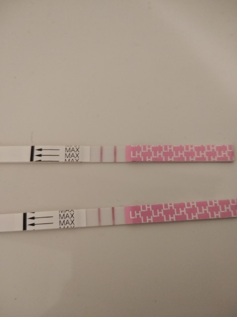 These two are from today. I have been testing everyday. Twice daily and ...