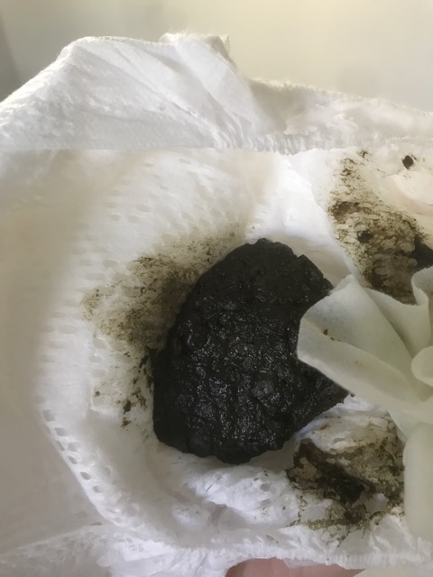 Help? I can't tell if this is worrisome black poop or just super dark ...