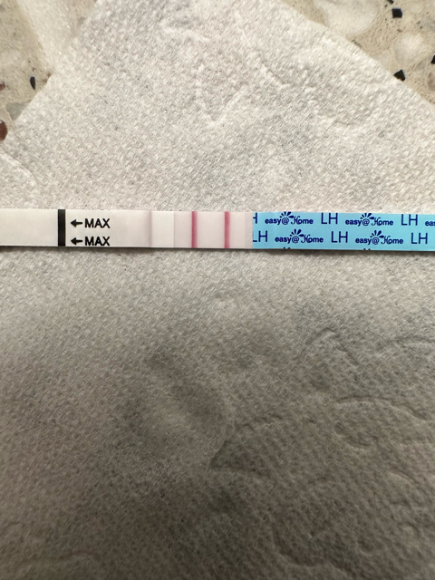 CD12, just had a chemical pregnancy. Didn’t test negative until CD6 ...